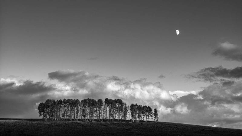 Tom Replogle Photography - Fine Art Photography Prints & Services